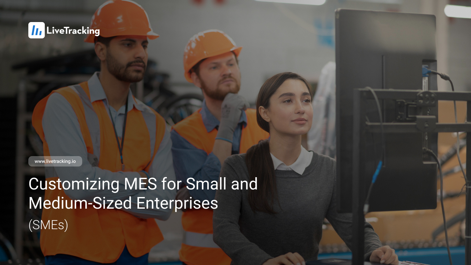 Customizing MES for Small and Medium-Sized Enterprises (SMEs)
